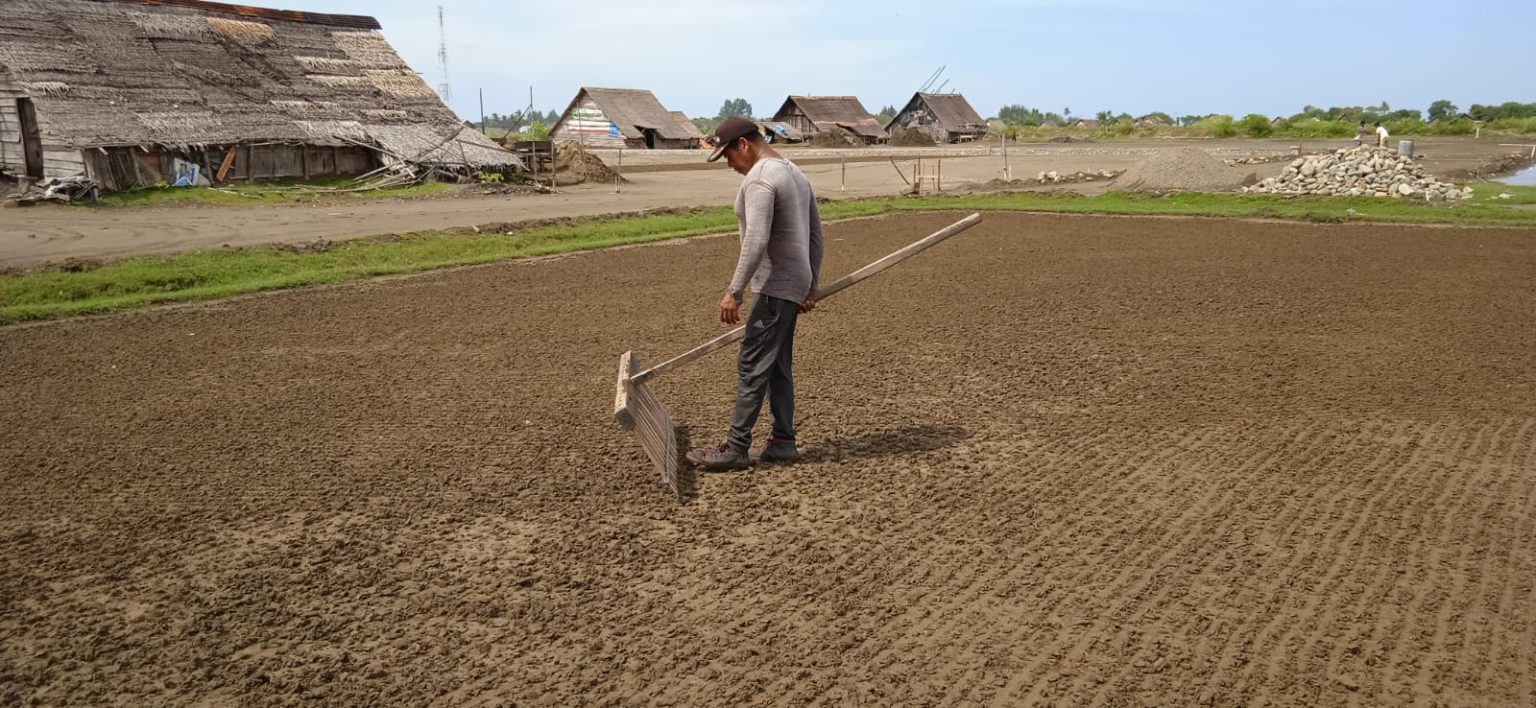 Kemarau Panjang el Nino, Buat Sektor Pertanian Merintih – Lakumas